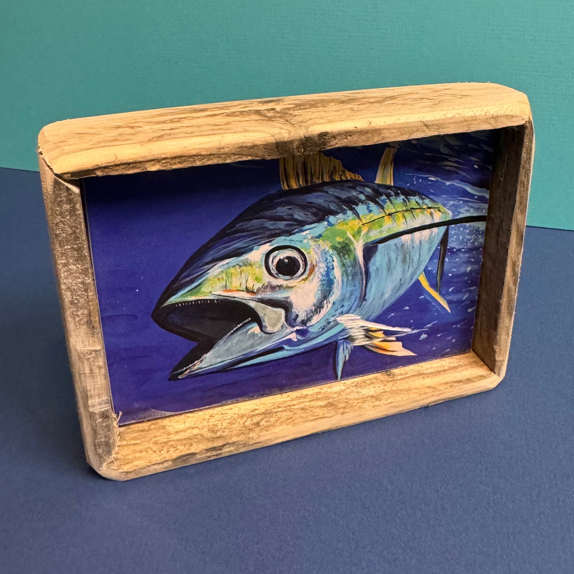 Box Frame Mini - Medium "Yellowfin Tuna Acrylic" – Coastal Art by Brent