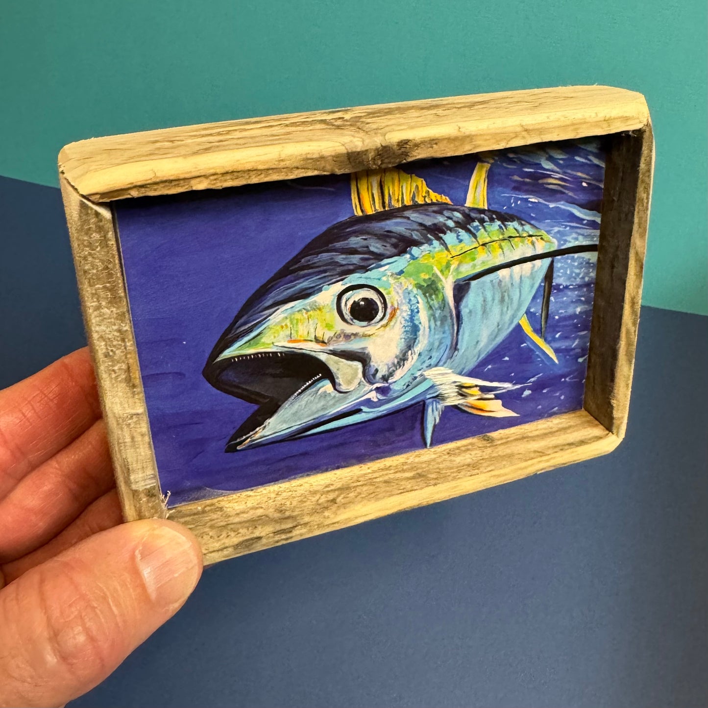 Box Frame Mini - Medium "Yellowfin Tuna Acrylic" – Coastal Art by Brent